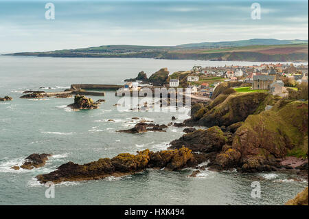Beautiful Cliffs of Scotland, St Abb's Head, UK Stock Photo - Alamy
