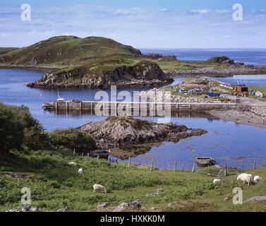 United Kingdom, Scotland, Highland, Sutherland, Knockan Crag National ...