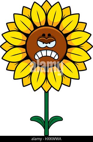 A cartoon illustration of a flower looking angry Stock Vector Image ...