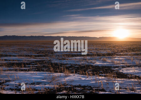 Sunset on the steppes of the Gobi Desert in Mongolia Stock Photo - Alamy