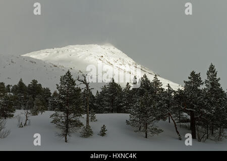 Winter Heggmoen, near Bodø, northern Norway Stock Photo - Alamy