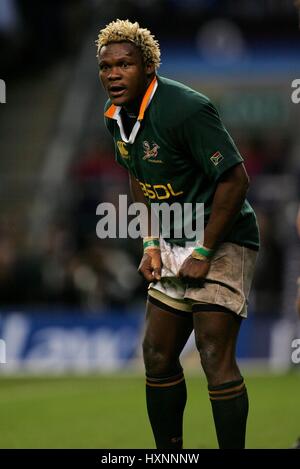KABAMBA FLOORS SOUTH AFRICA RU TWICKENHAM MIDDLESEX ENGLAND 25 November ...