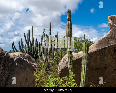 Casibari Rock Formations, Aruba, Caribbean Stock Photo - Alamy