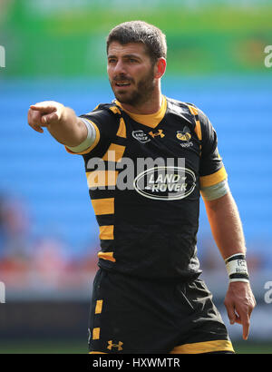 Wasps' Willie LeRoux Stock Photo - Alamy
