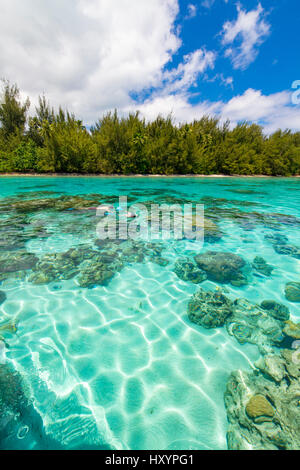 Motu Tiahura, Moorea, French Polynesia, South Pacific Stock Photo - Alamy