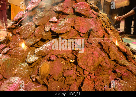 Cow dung cake to burn holi festival, jodhpur, rajasthan, india, asia ...
