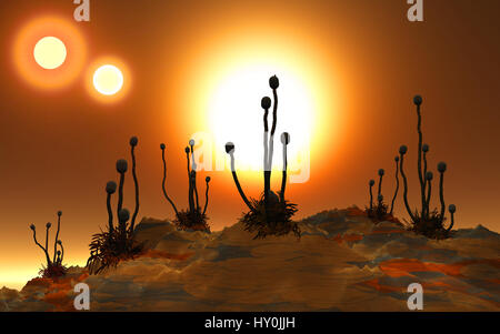 Exoplanet Proxima Centauri In Orbit Around Proxima Centuari,A Red Dwarf ...