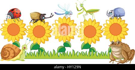 Different bugs in sunflower garden Stock Vector Image & Art - Alamy