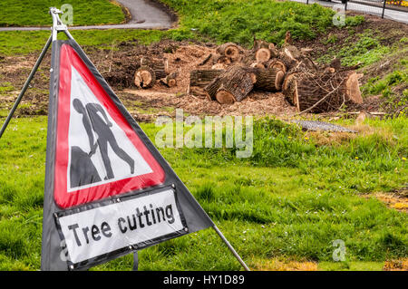 warning tree felling in progress sign on trees near Win Green on the ...