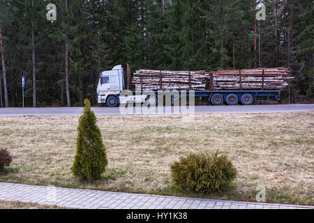 A log truck transports pine logs from the forestry site to the sawmill ...
