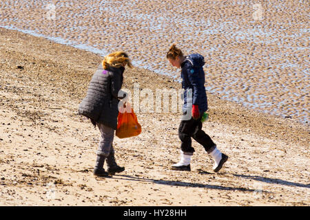 Woman picking up seashells at beach Stock Photo - Alamy
