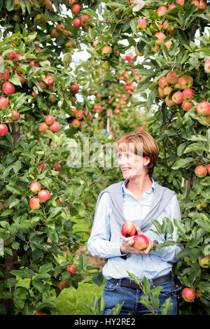 The apple and hop farmer Ali Capper of Stocks Farm Herefordshire Farm ...