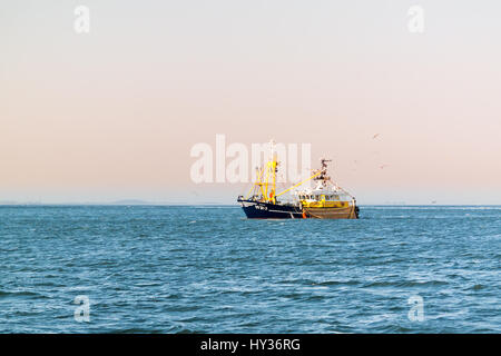 Commercial outrigger trawler shrimp fishing on Waddensea, Netherlands ...