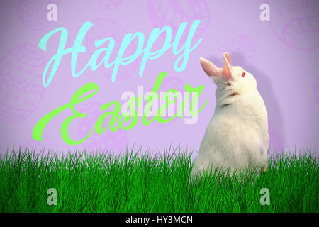 Rear view of cute rabbit against wooden background Stock Photo - Alamy