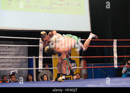 male versus male kickboxing match Stock Photo - Alamy