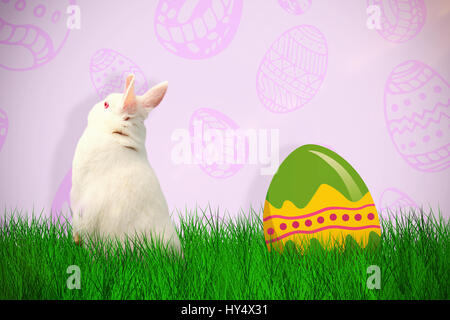 Rear view of cute rabbit against purple background Stock Photo - Alamy