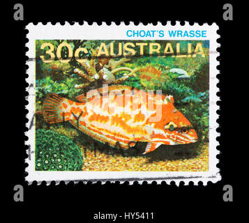 Postage stamp from Australia depicting a fiddler crab Stock Photo - Alamy