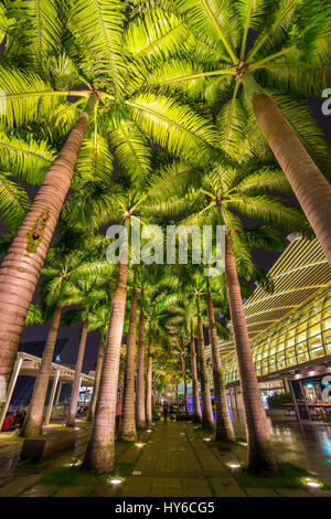 Tranquil view of coconut palm trees against cloudy sky Stock Photo - Alamy