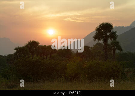 Tropical landscape in Ettimadai, near Coimbatore, Tamil Nadu, South ...