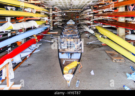 A rack of rowing oars Stock Photo - Alamy