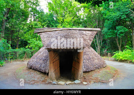 Pit-House at jomon Village Tama city Tokyo Japan Stock Photo - Alamy