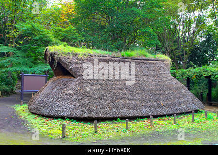 Pit-House at jomon Village Tama city Tokyo Japan Stock Photo - Alamy