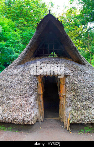 Pit-House at jomon Village Tama city Tokyo Japan Stock Photo - Alamy