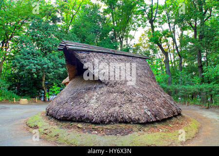 Pit-House at jomon Village Tama city Tokyo Japan Stock Photo - Alamy