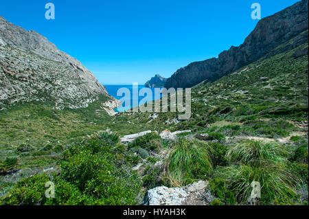 Boquer Valley, Pollenca, Mallorca, Balearics, Spain Stock Photo - Alamy