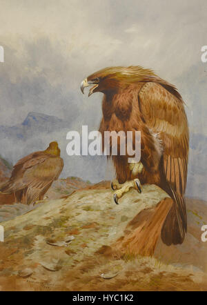 Archibald Thorburn, Pair of Golden Eagles. Bonhams Stock Photo - Alamy