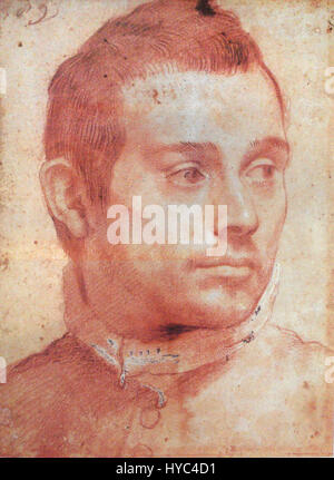 Annibale Carracci's painting 'Male Portrait,' also known as 'The ...