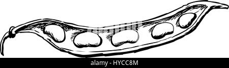 Outlined fresh beans in pod cartoon over white background Stock Photo ...