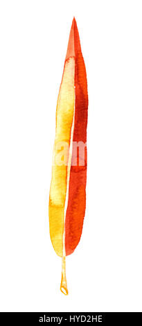 Stylized watercolor autumn tree, transparent background Stock Photo - Alamy
