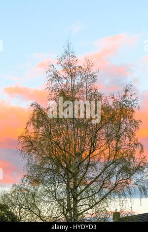 Red Sky at Night, Shepherd's Delight Stock Photo - Alamy