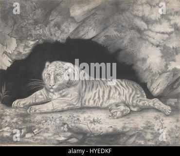 Elizabeth Pringle - A Tiger Lying in the Entrance of a Cave Stock Photo ...