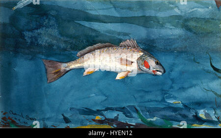 Winslow Homer - Channel Bass Stock Photo - Alamy