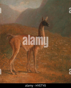Jacques Laurent Agasse's painting of a Guanaco, an animal native to ...