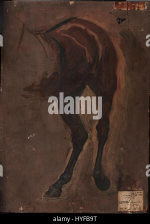 This anatomical study focuses on the horse's obturator and crural ...