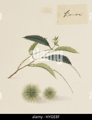 This artwork by Kawahara Keiga, housed in the Siebold Collection, is a ...