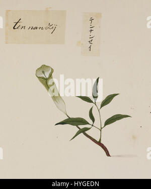 This artwork by Kawahara Keiga, created between 1823 and 1829, depicts ...