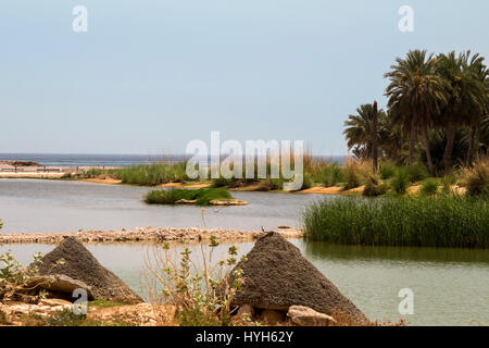 In oman coastline sea ocean Stock Photo - Alamy