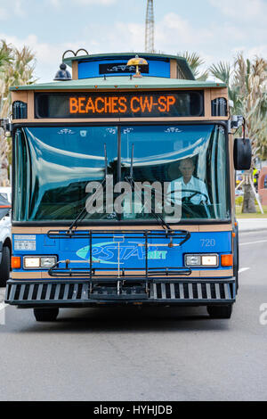 Metropolitan Transit Authority system route map , Local transit ...