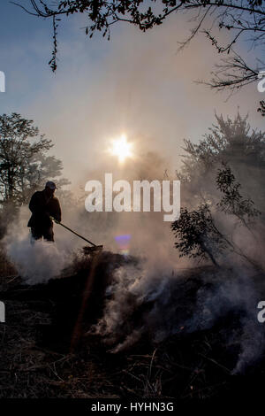 Burning brush fire Zimbabwe Africa Stock Photo - Alamy