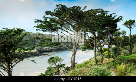 A panoramic view of the Gannel Estuary at low tide Stock Photo - Alamy