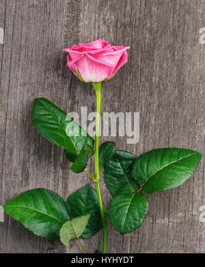 pink rose head on the wooden background Stock Photo - Alamy