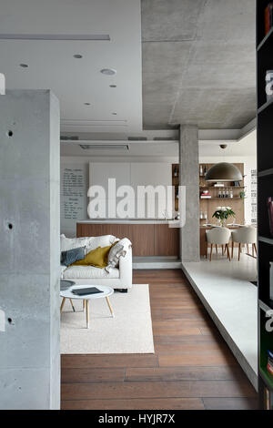 Interior of the modern loft kitchen-studio in the apartment. Room ...