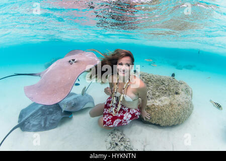 TAHITI, SOUTH PACIFIC: AN INCREDIBLE picture of a poisonous stingray ...