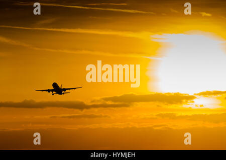 Silhouette of Airbus A320 passenger jet taking off in sunset with ...