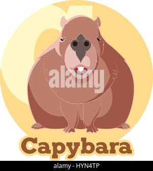 Vector capybara set. Cute capibara heads collection showing different ...