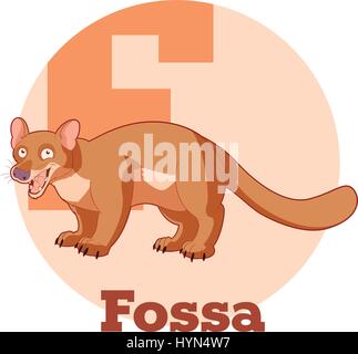 Cute Fossa Madagascar animal cartoon vector illustration Stock Vector ...